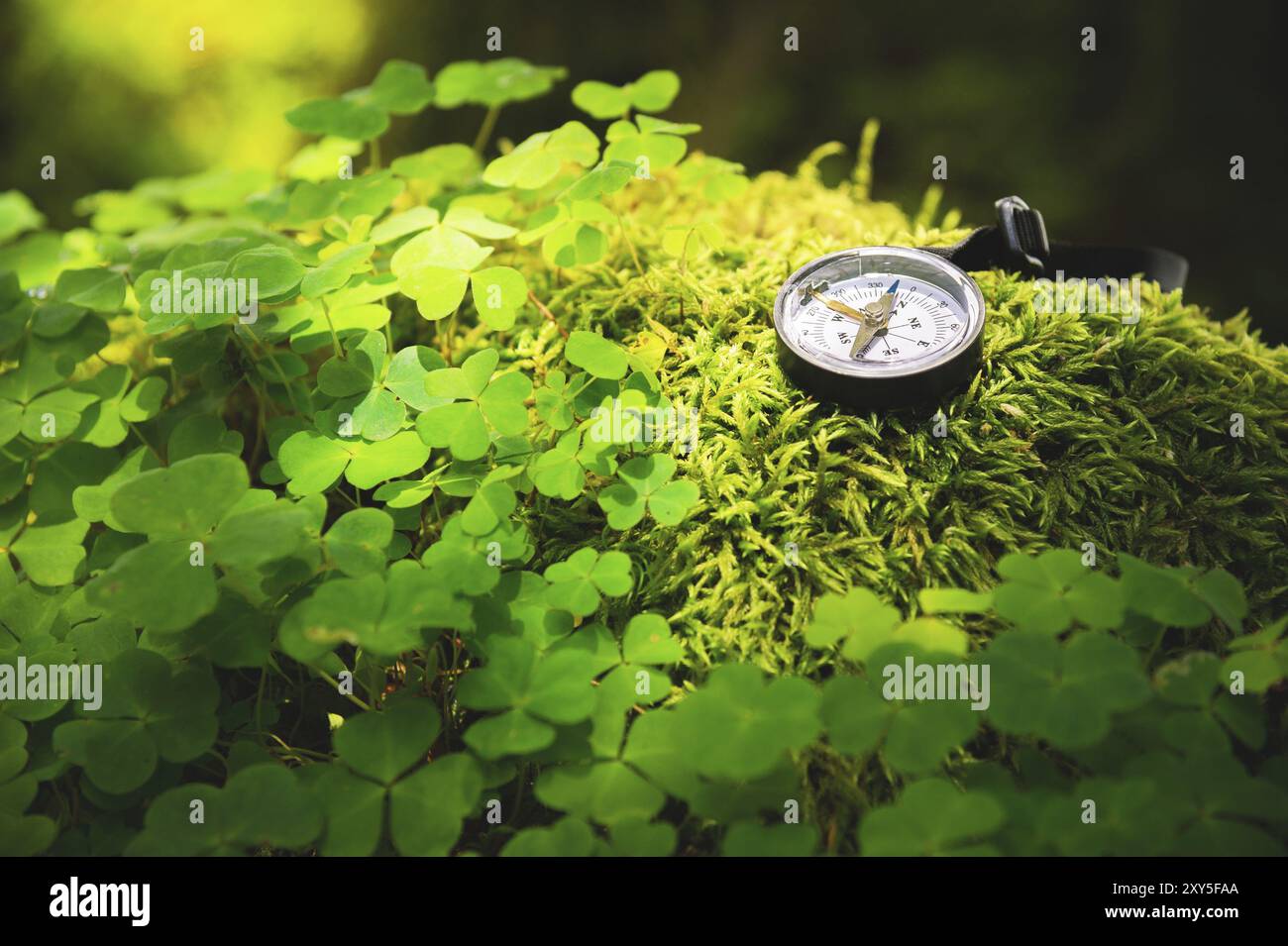 Close up handmade wooden compass, tree shadows on green nature grass ...