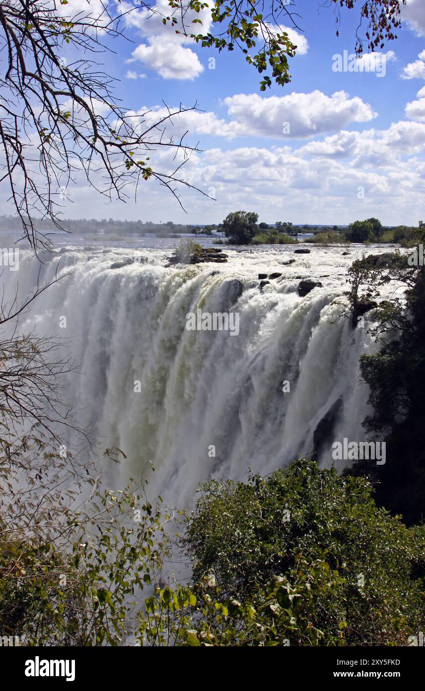 The Victoria Falls at high water on the Zambian side, the largest ...