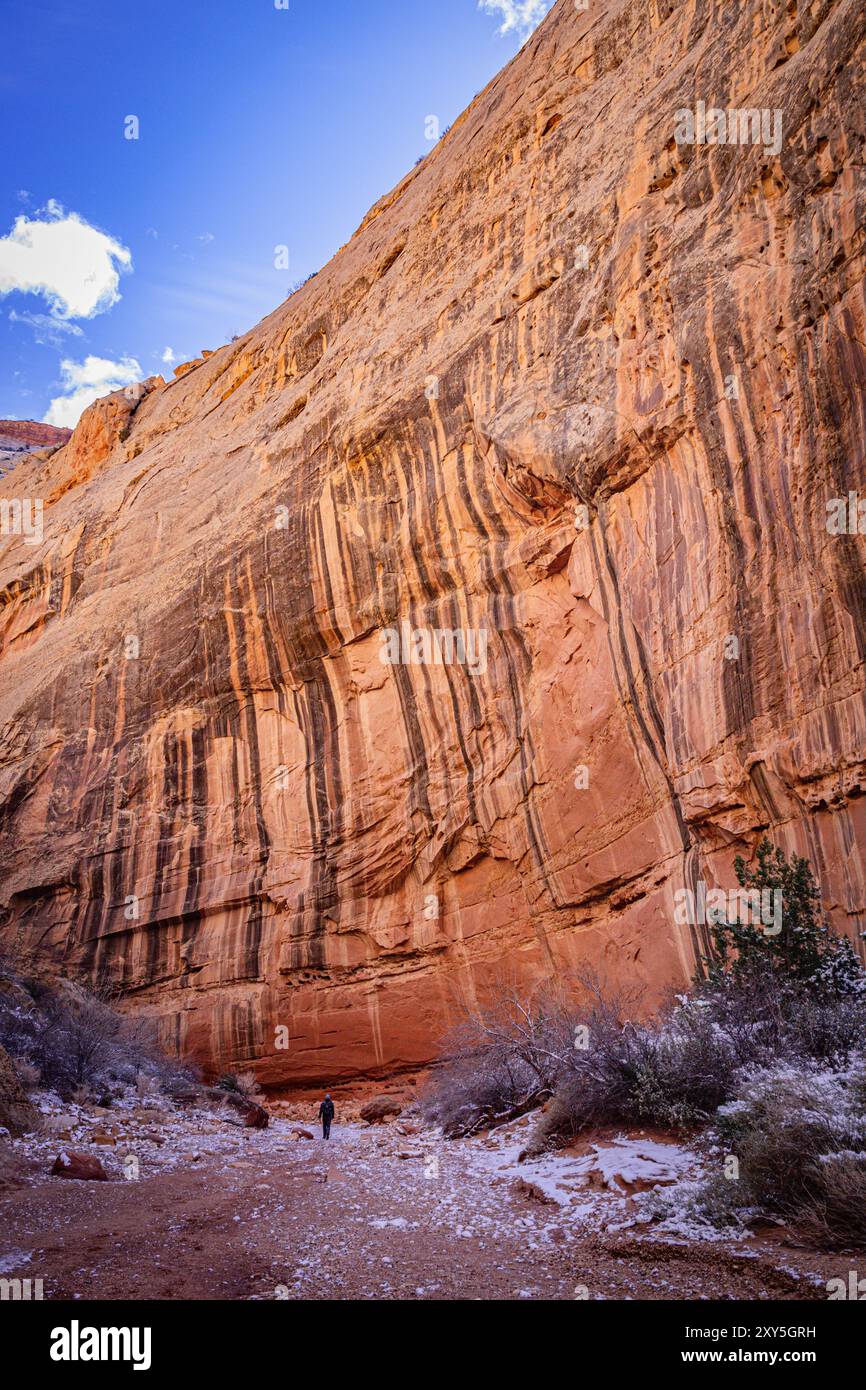 A lone hiker ventures through the snowy terrain of Capitol Reef ...