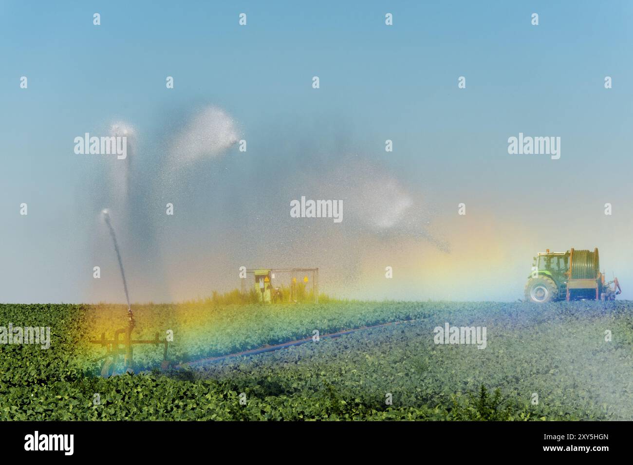Irrigation system watering line hi-res stock photography and images - Alamy