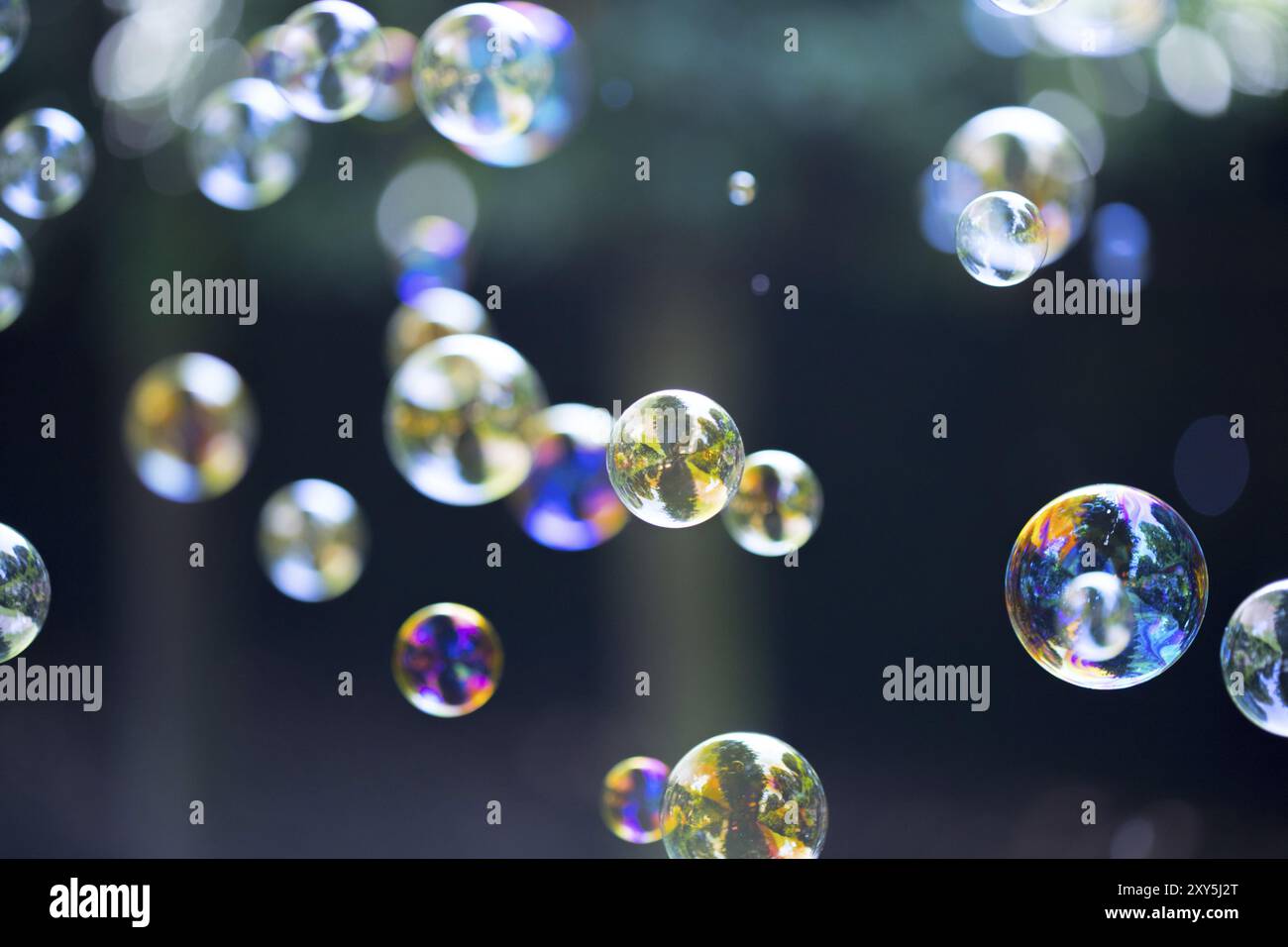 Colorful soap bubbles outdoors, summer time, fun Stock Photo - Alamy
