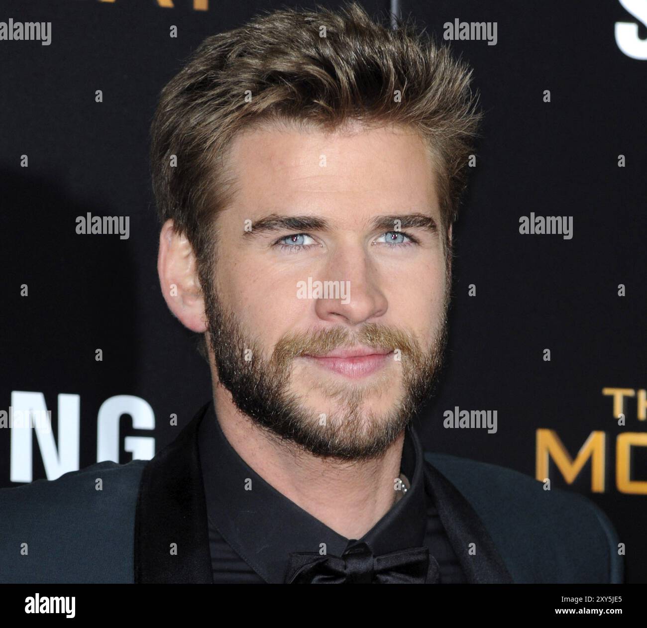 Liam Hemsworth at the Los Angeles premiere of 'The Hunger Games ...