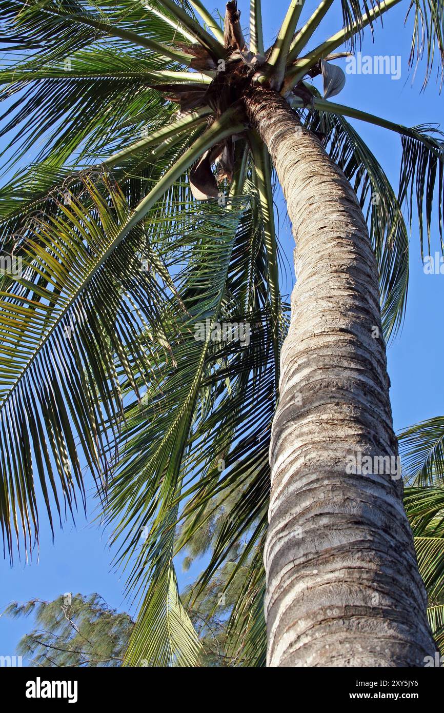 Tourismus reisen hi-res stock photography and images - Alamy