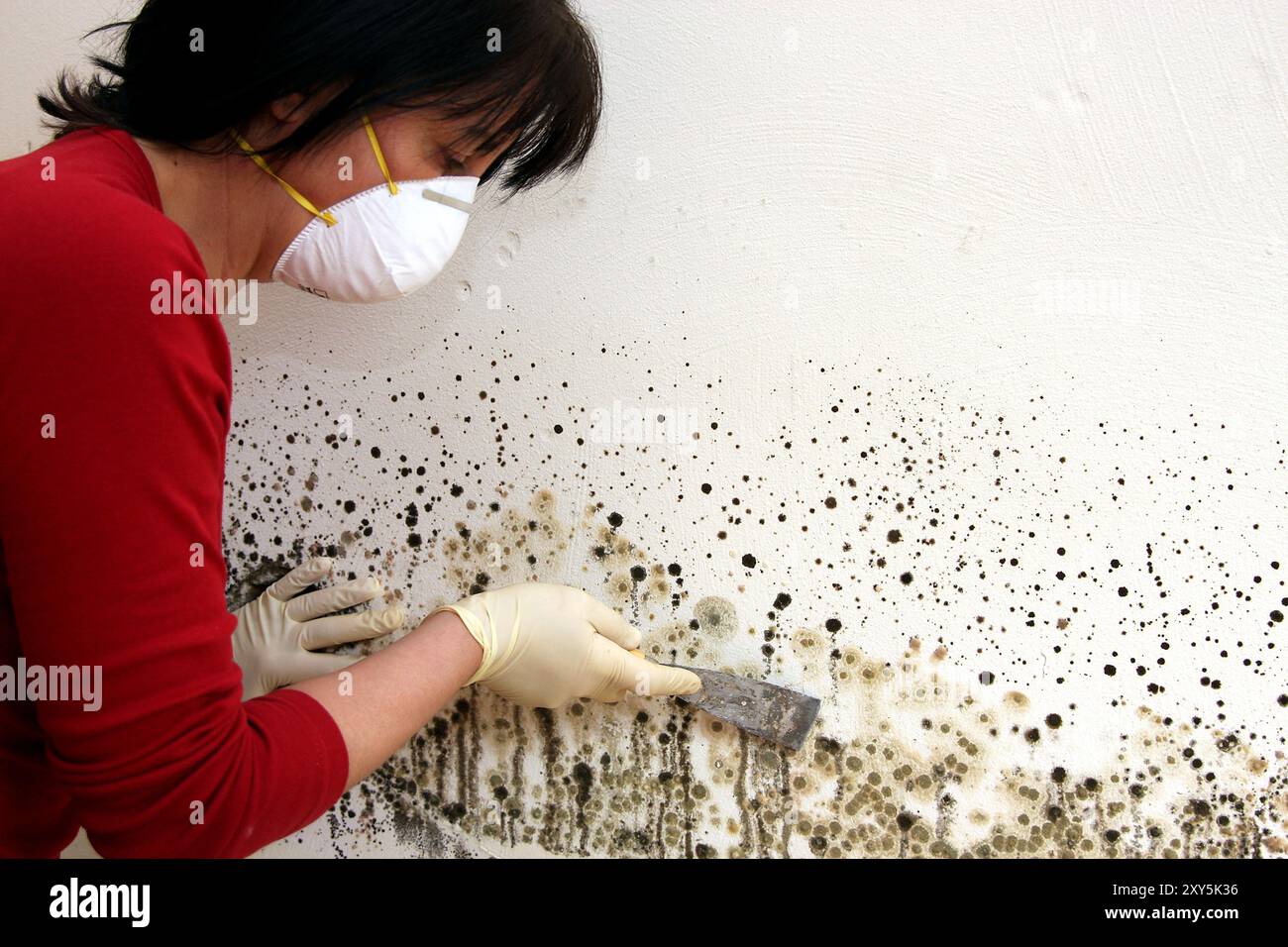 Bacterium infestation hi-res stock photography and images - Alamy