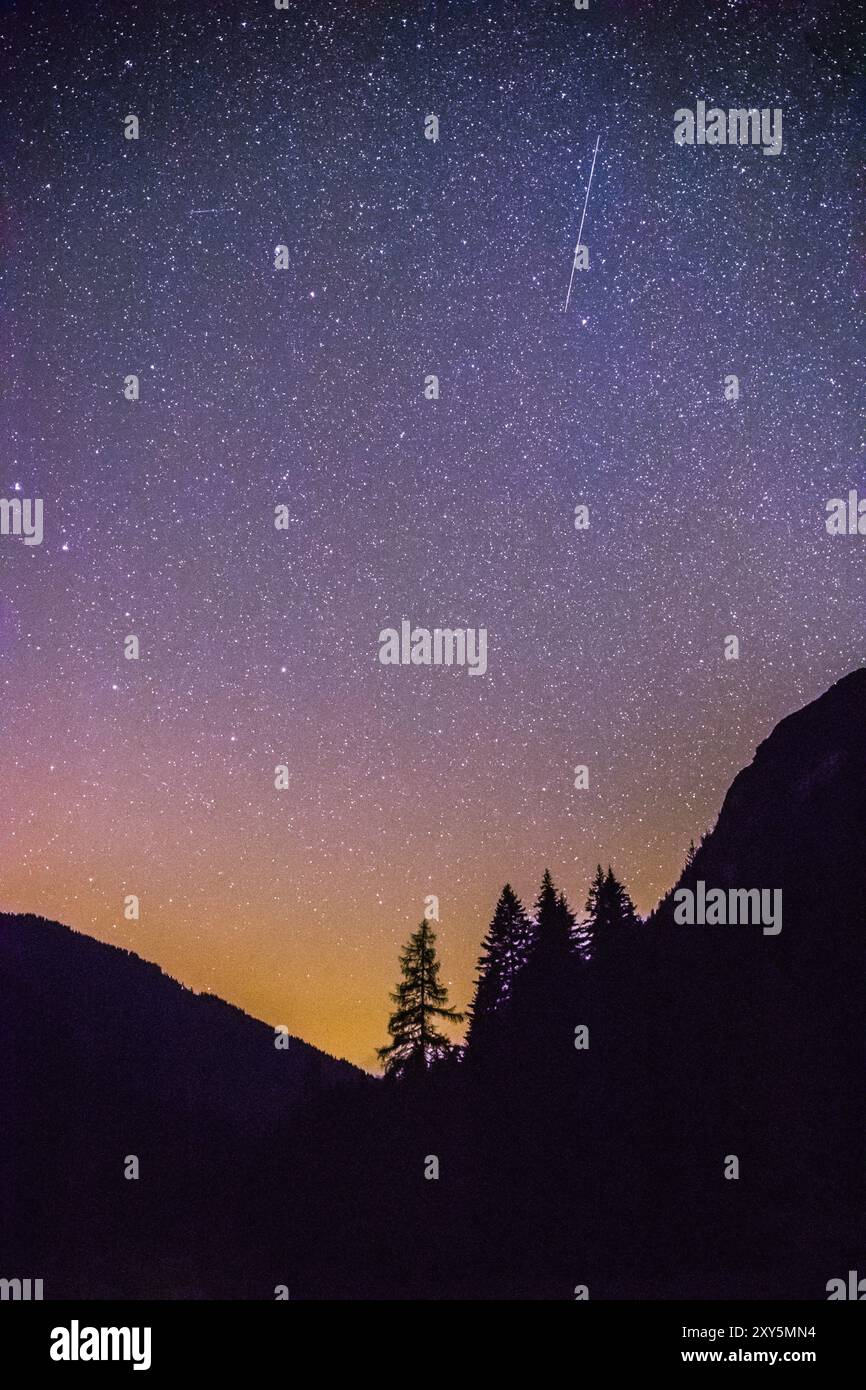 Milky way clear at night, silhouettes of trees Stock Photo - Alamy