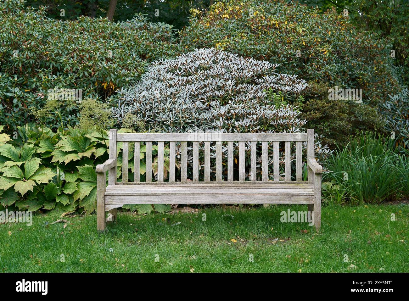 Wooden park bench in one Stock Photo - Alamy