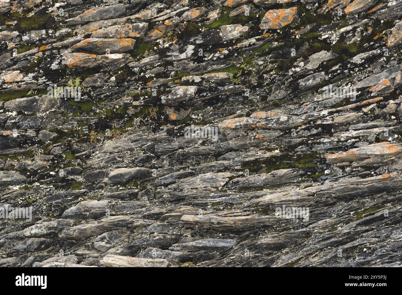 Textured basalt background thin stone fibers in the cut. natural ...