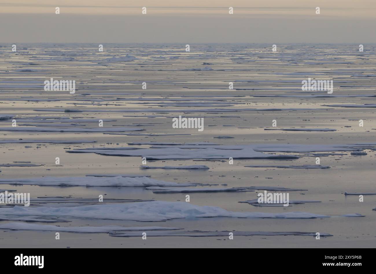 Arctic pack ice near the Svalbard archipelago Stock Photo - Alamy