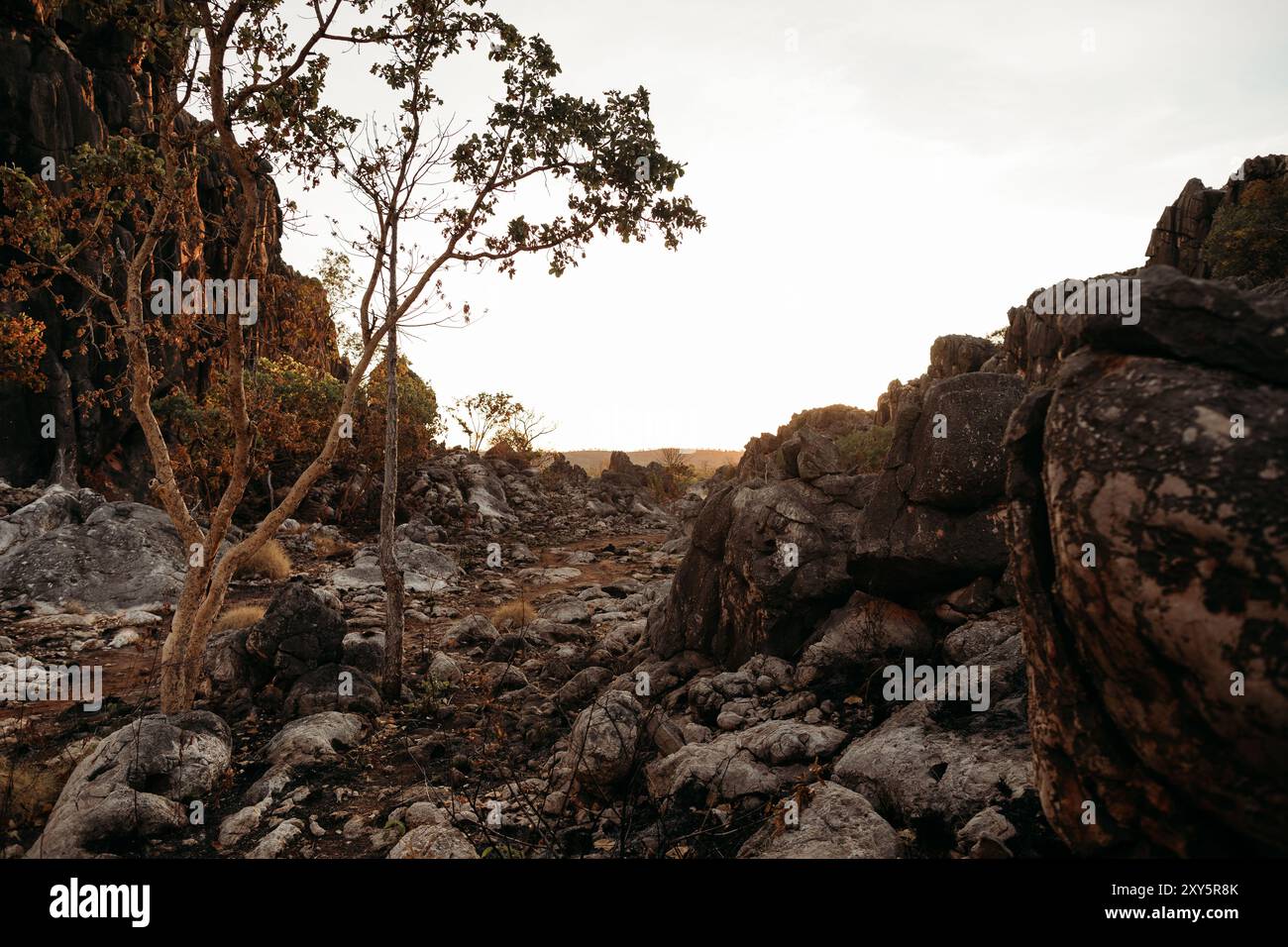 Australian camping 4wd hi-res stock photography and images - Alamy