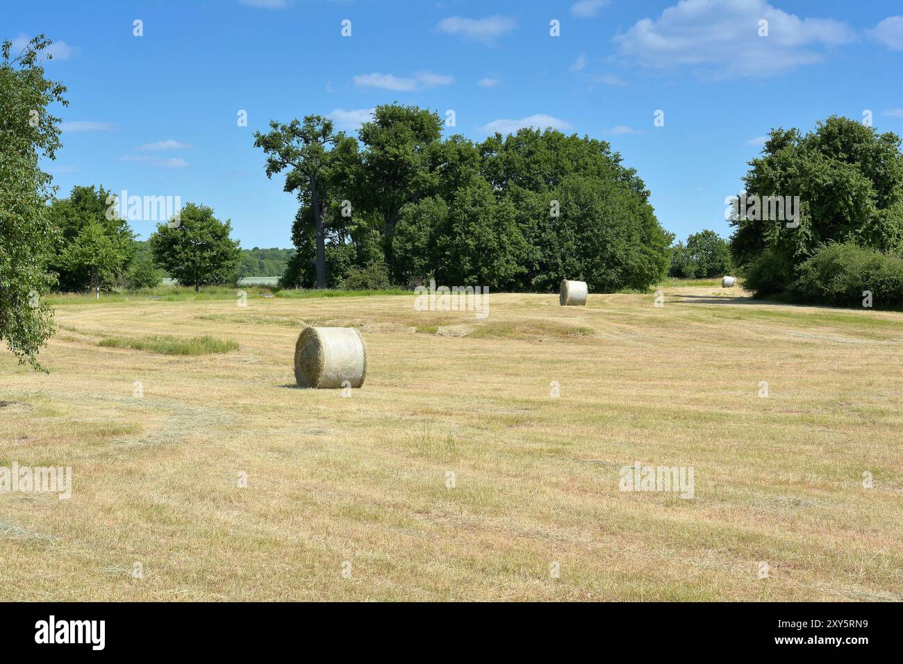 Shot dry bale hay rolling hi-res stock photography and images - Alamy