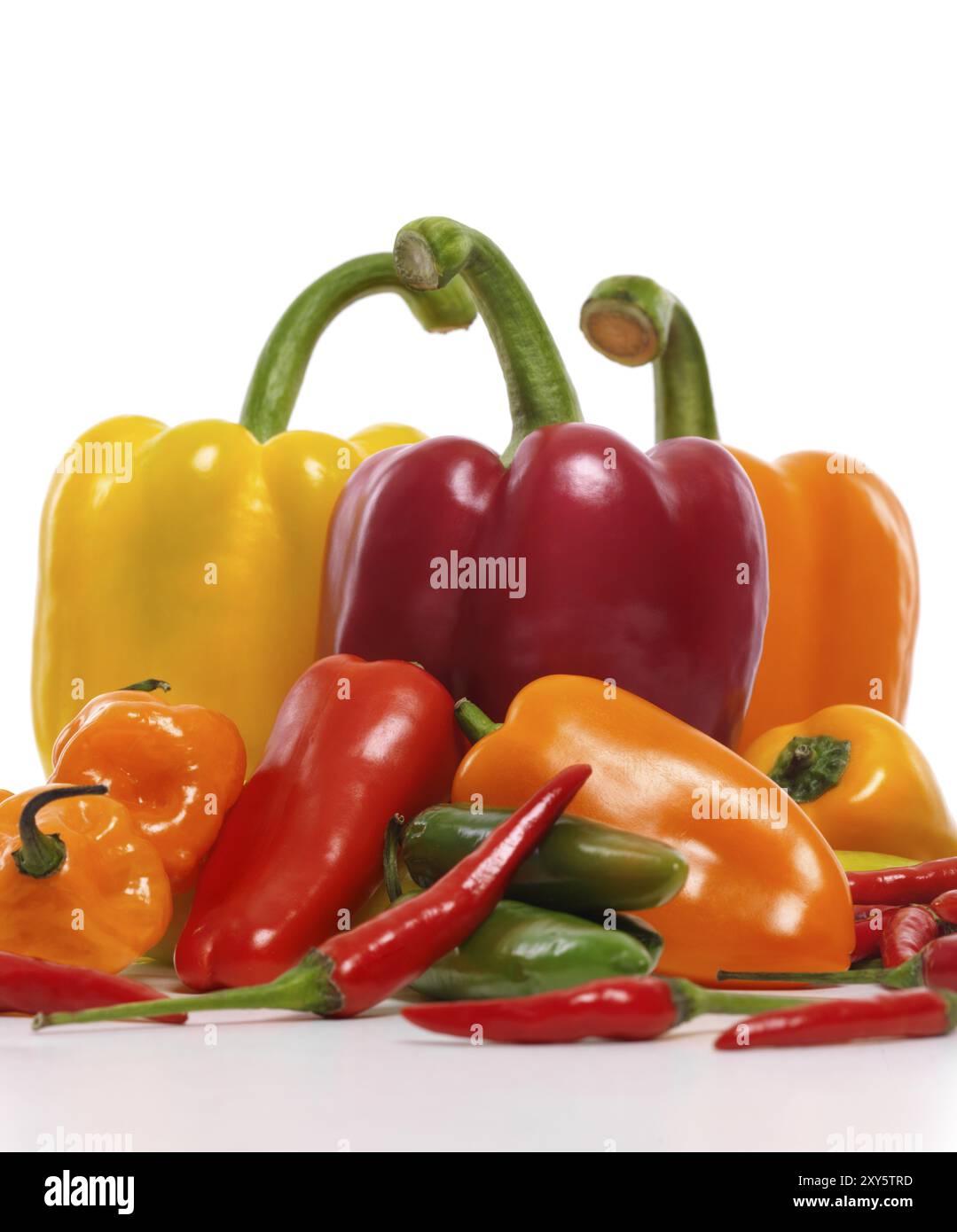 Variety of colorful sweet and hot peppers, red, yellow, orange sweet ...