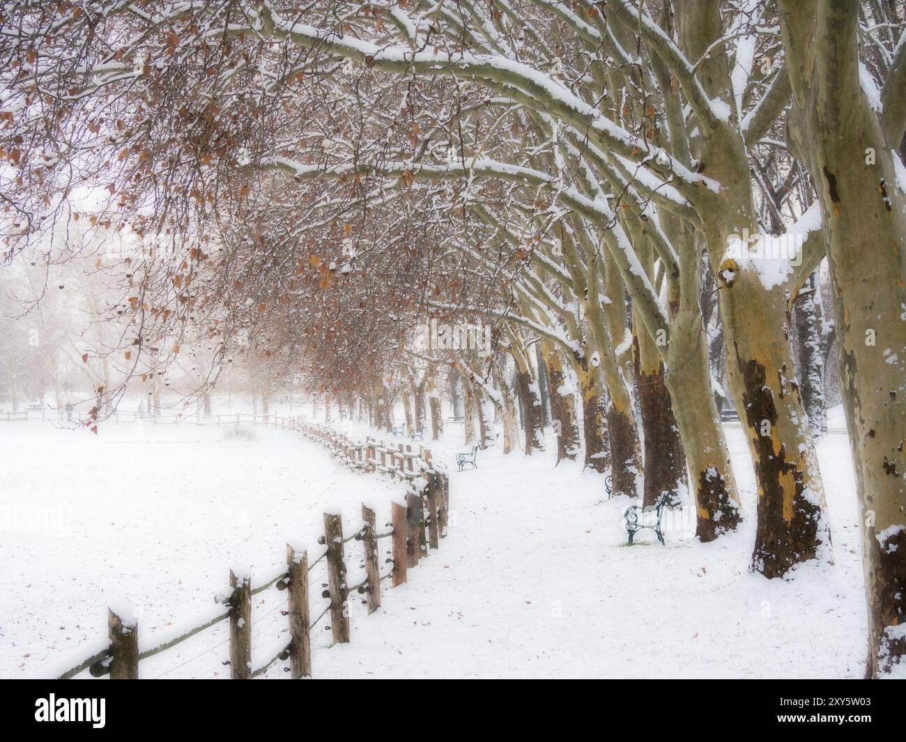 Alley with snow hi-res stock photography and images - Alamy
