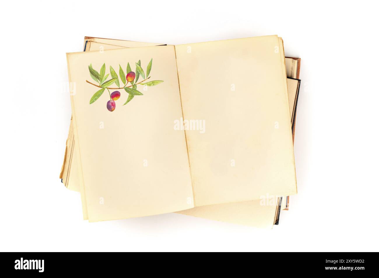 Template place text illustration Cut Out Stock Images & Pictures - Alamy