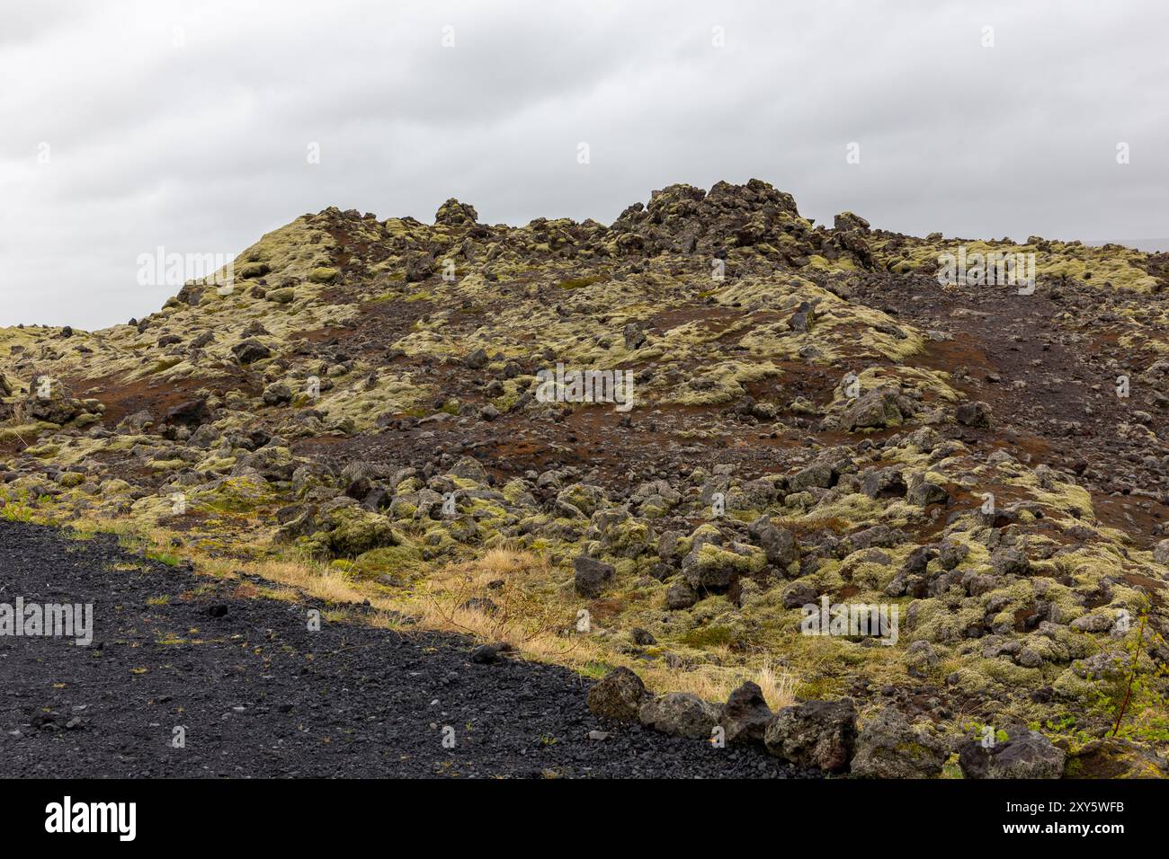Eldhraun Lava Field (Mossy Lava Fields) in Southern Iceland, frozen basaltic lava covered with ...