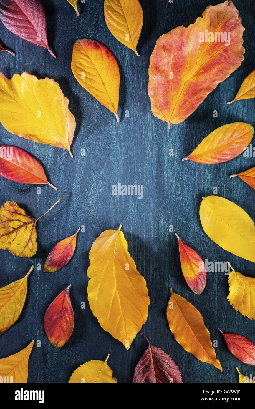 Fall leaf abstract logo hi-res stock photography and images - Alamy