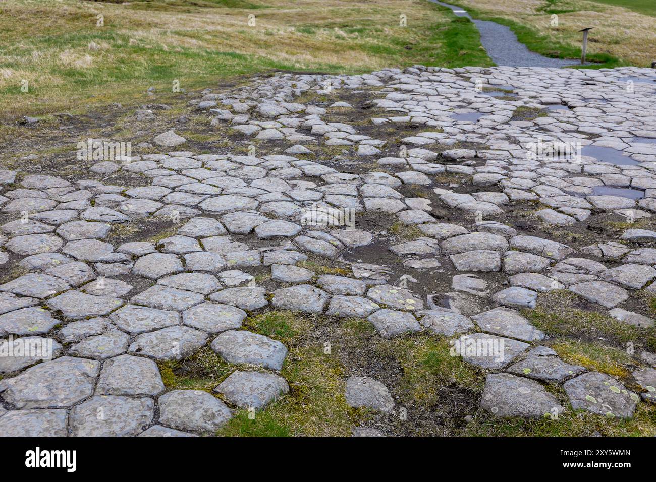 Kirkjugolf Natural Monument (The Church Floor), basalt columns rock ...