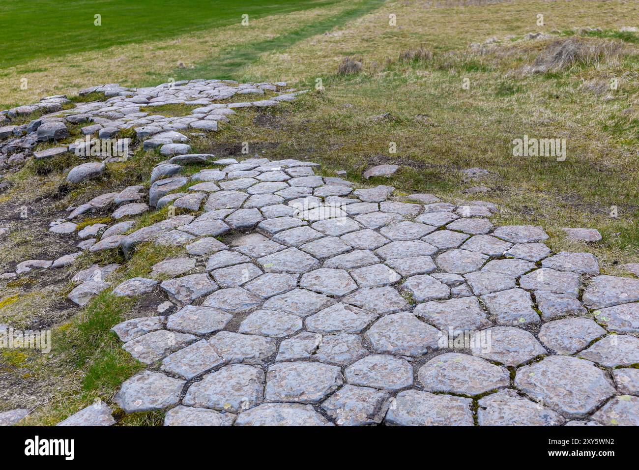 Kirkjugolf Natural Monument (The Church Floor), basalt columns rock ...