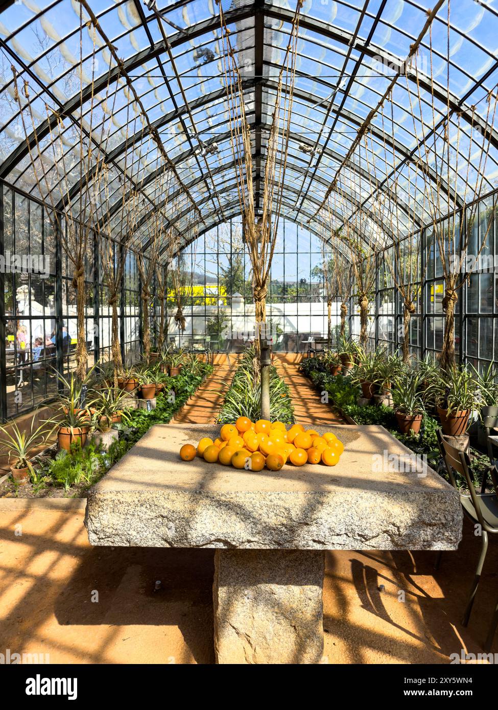 The greenhouse at Babylonstoren which is one of the oldest Cape Dutch ...