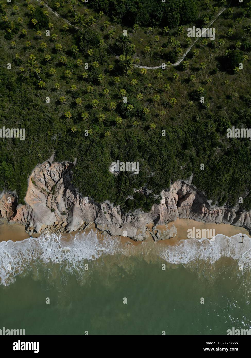 Drone view of sea, cliffs and tree's of Brazilian coast Stock Photo - Alamy