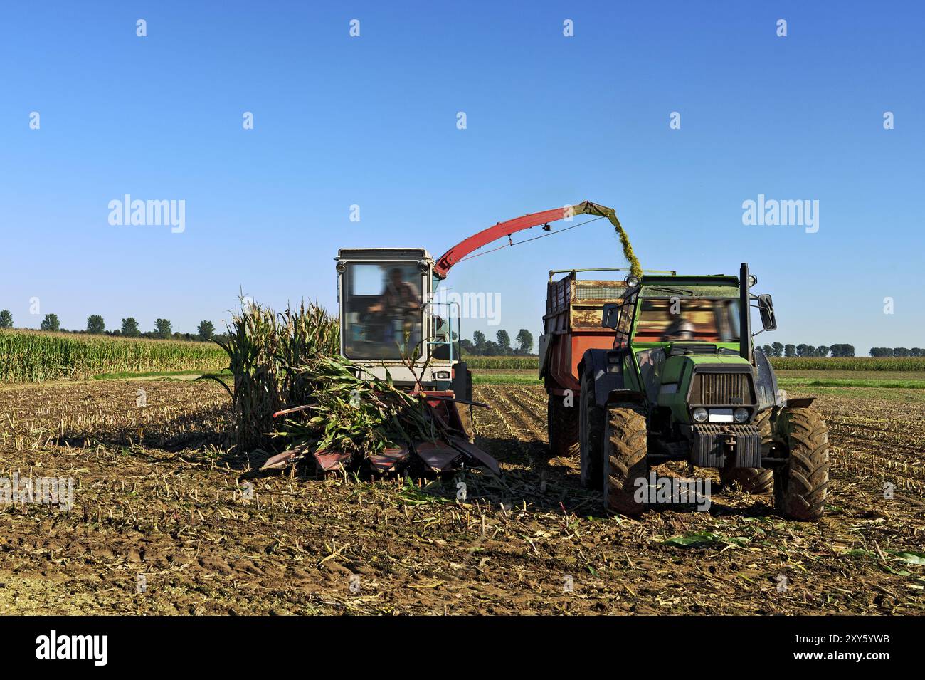 Harvest of maize zea mays tractor hi-res stock photography and images ...