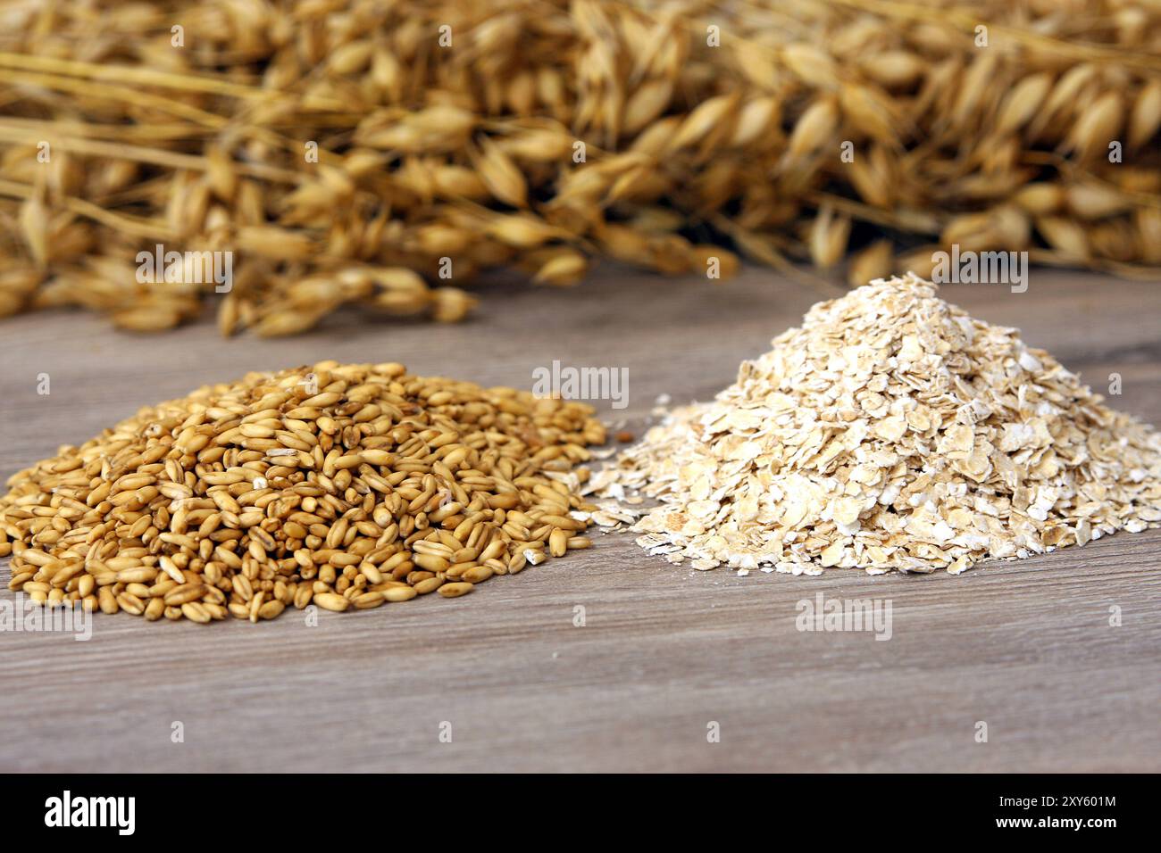 Oat ears with seed Stock Photo - Alamy