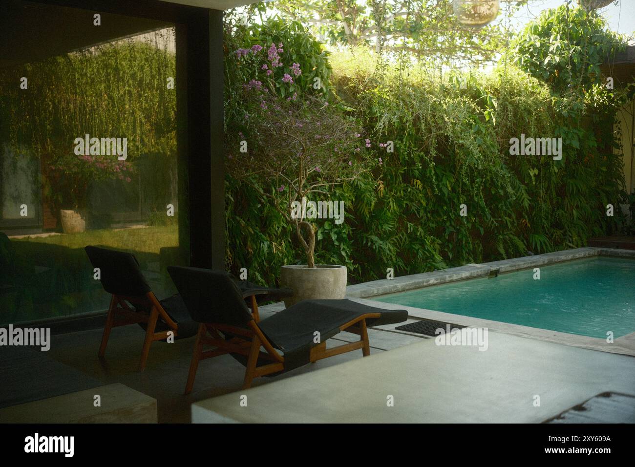 Lounger pool, vertical garden, and swimming pool in a modern tropical ...