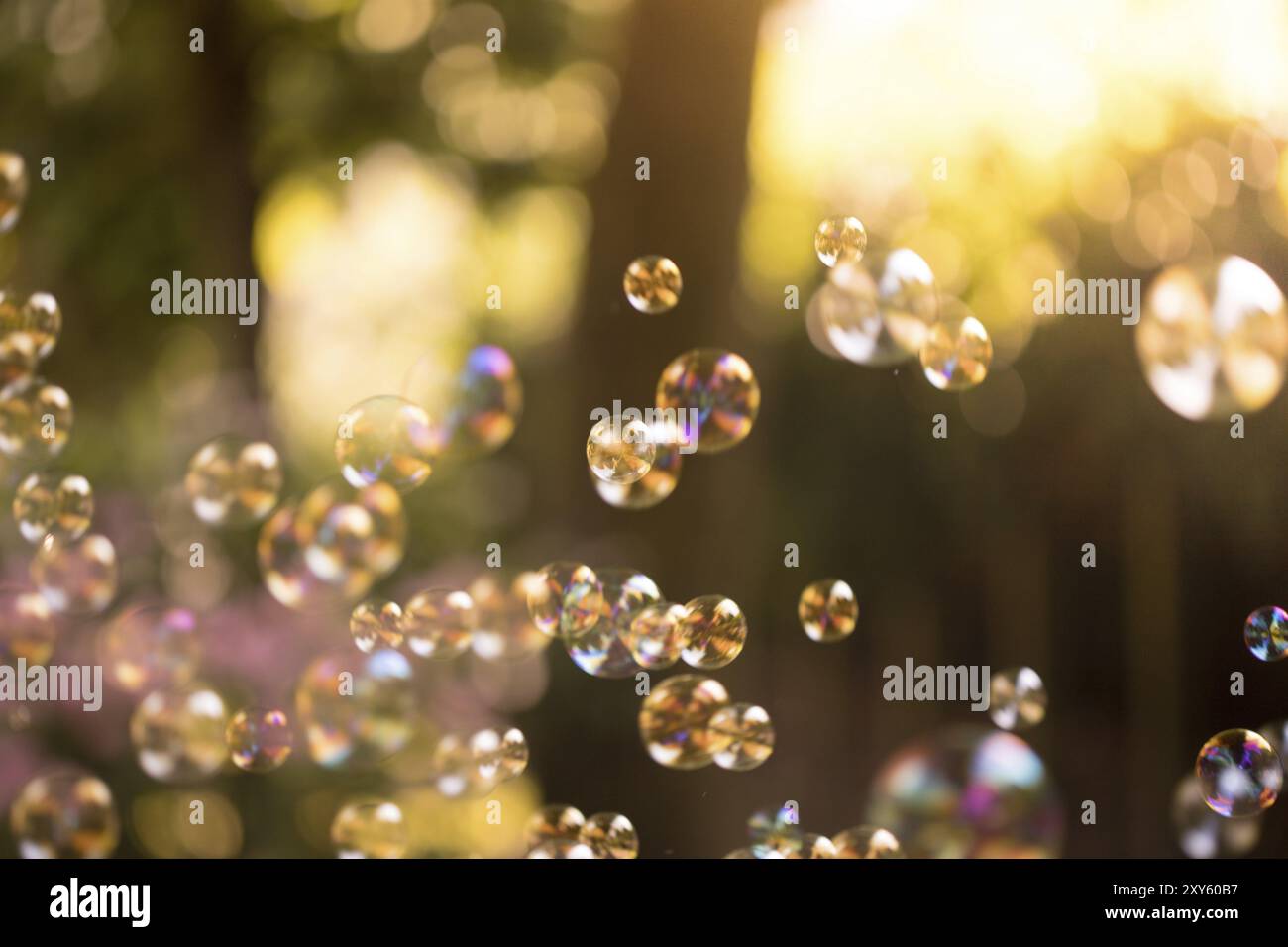 Colorful soap bubbles outdoors, summer time, fun Stock Photo - Alamy
