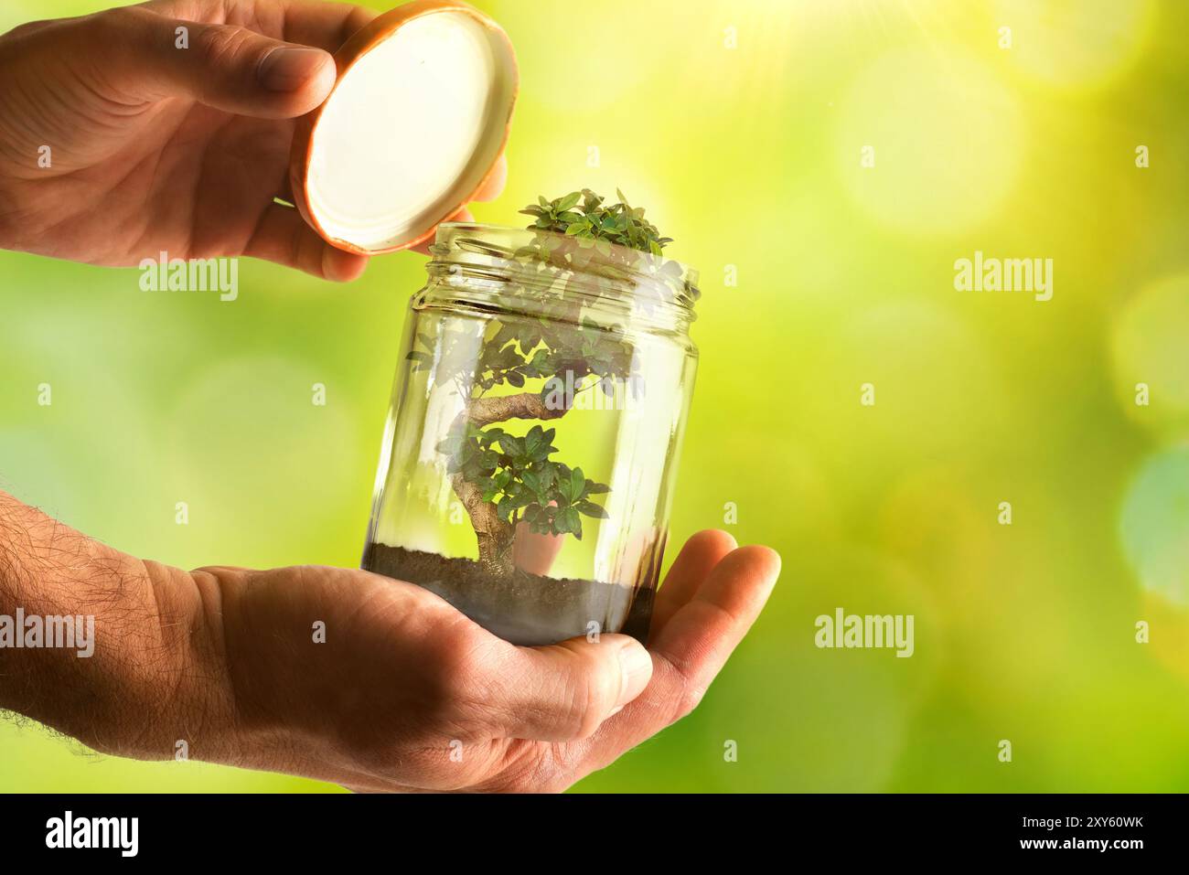 Concept of protection and conservation of nature and the environment ...