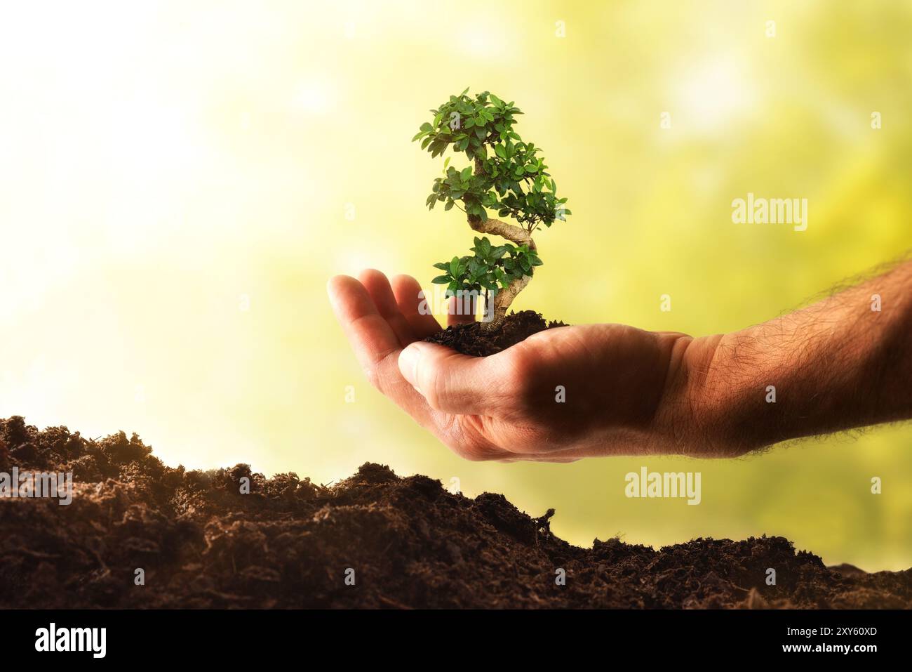 Concept of protection and conservation of nature and environment with ...