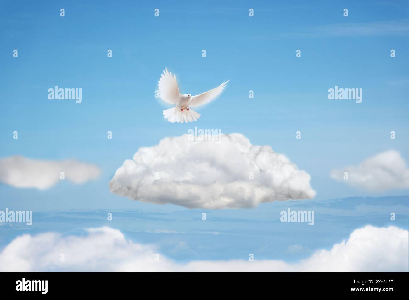 Dove peace symbol icon hi-res stock photography and images - Alamy