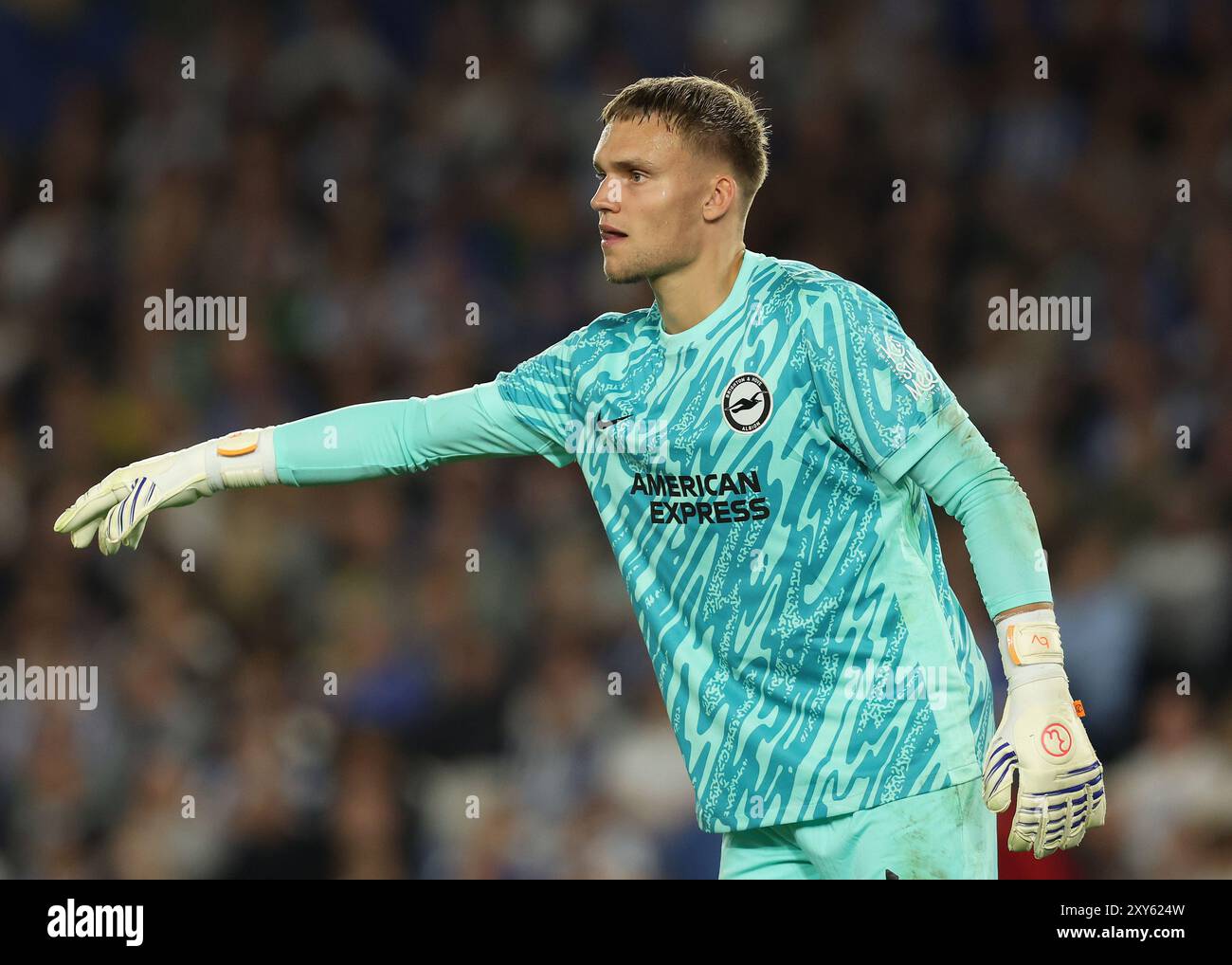 Goalkeeper bart verbruggen hi-res stock photography and images - Alamy