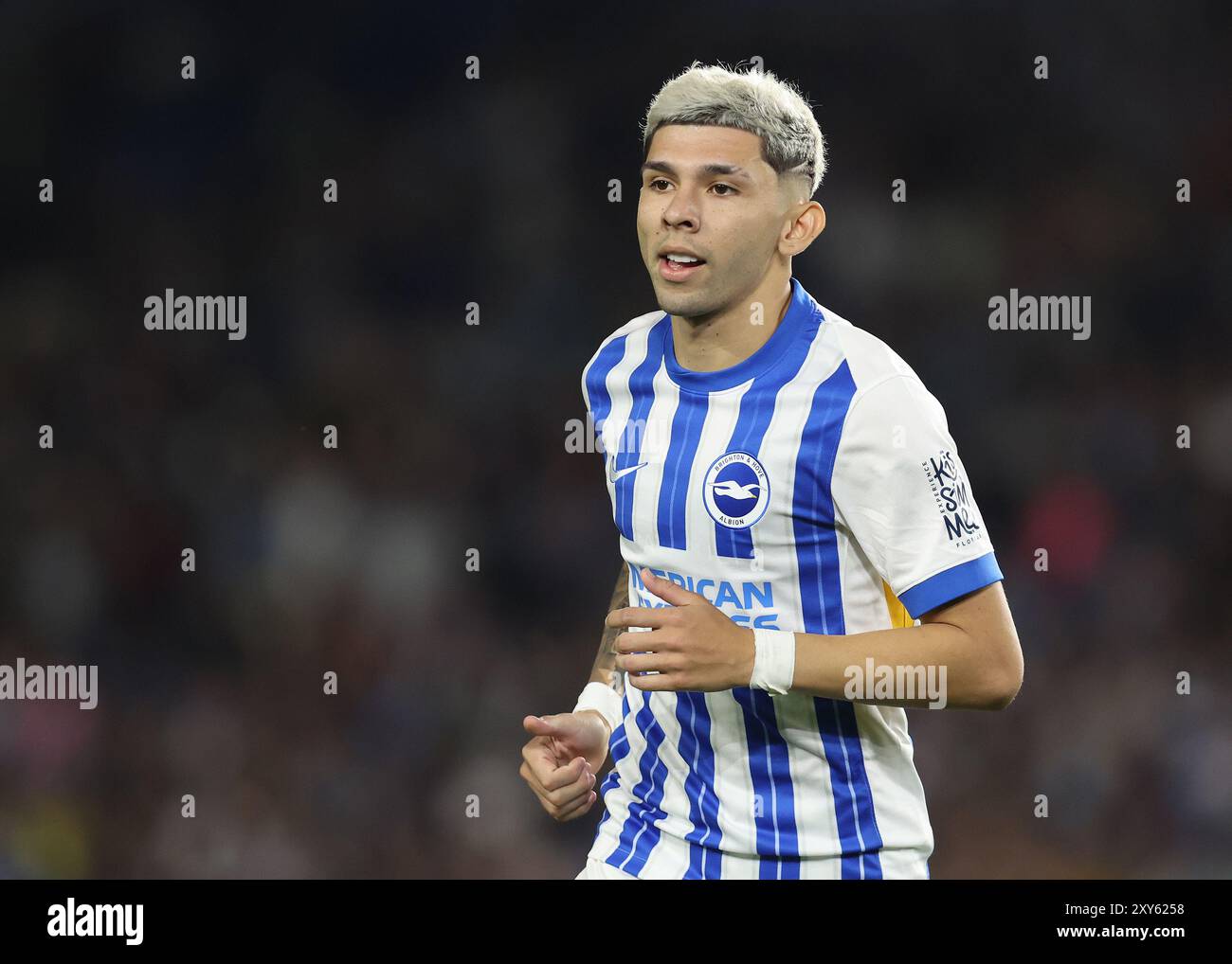 Brightons julio enciso 2024 hi-res stock photography and images - Alamy