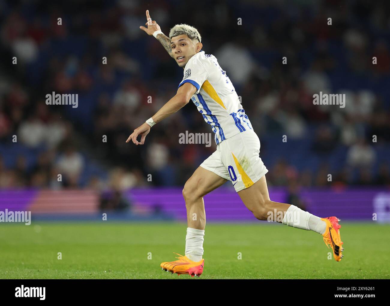 Brightons julio enciso 2024 hi-res stock photography and images - Alamy
