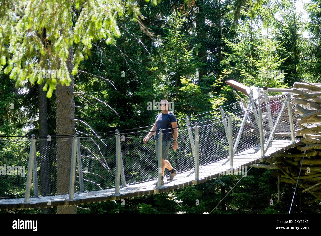 Lush green forest hi-res stock photography and images - Alamy