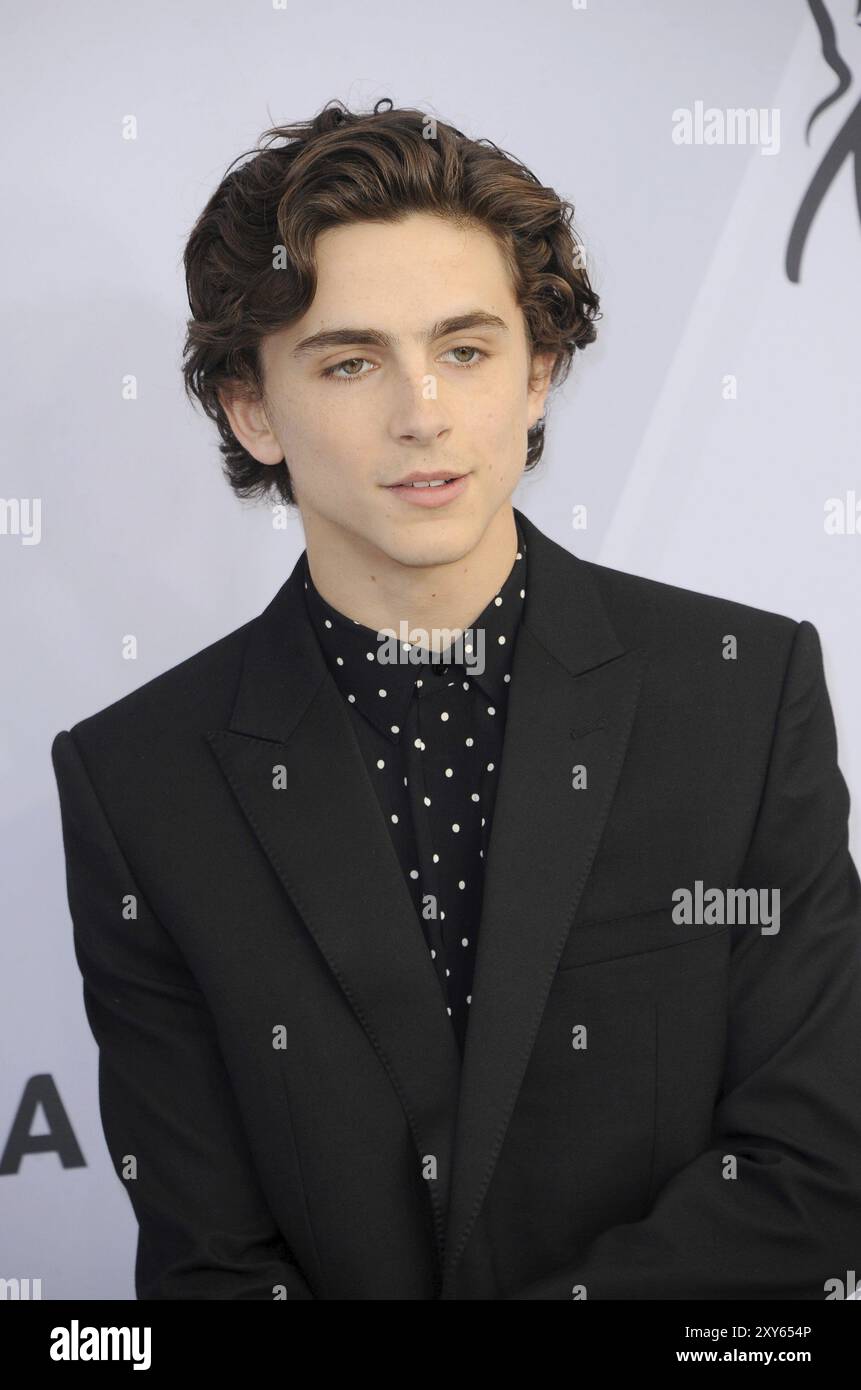 Timothee chalamet screen actors hi-res stock photography and images - Alamy