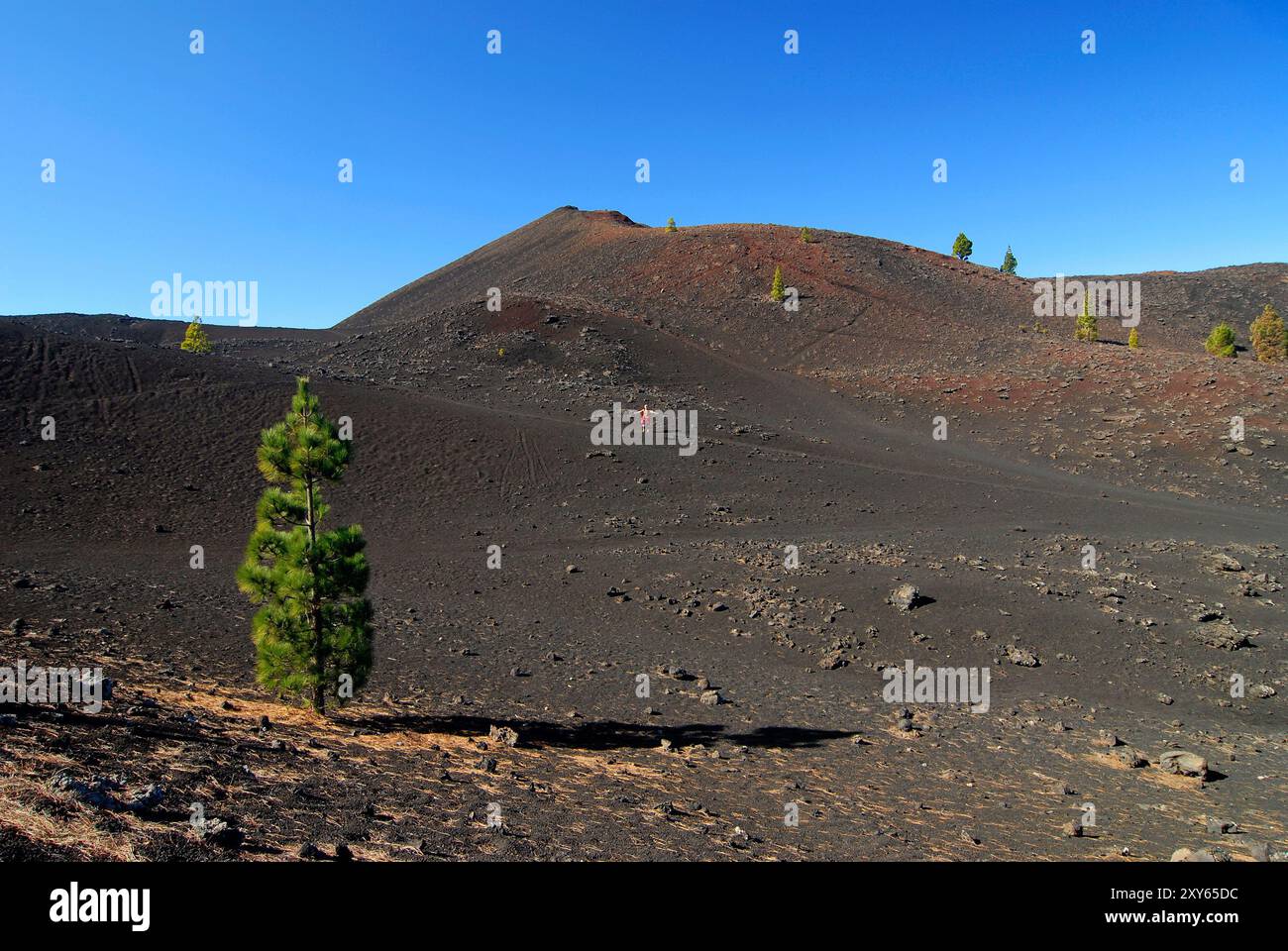 Landscape in the hiking area Montanas Negras at Garachico Volcano ...