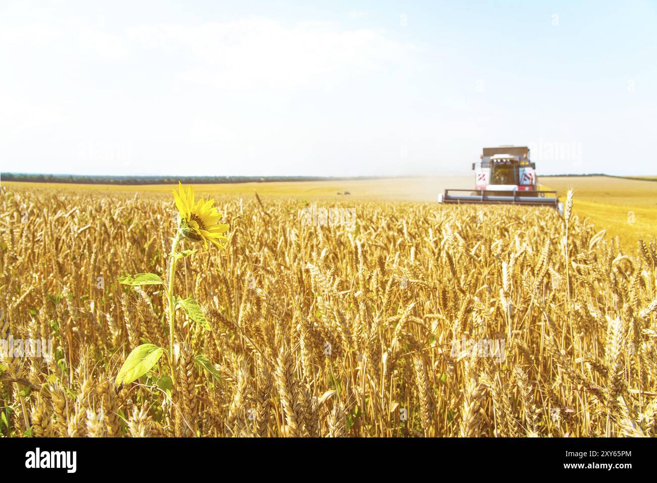 Lateral traction hi-res stock photography and images - Alamy