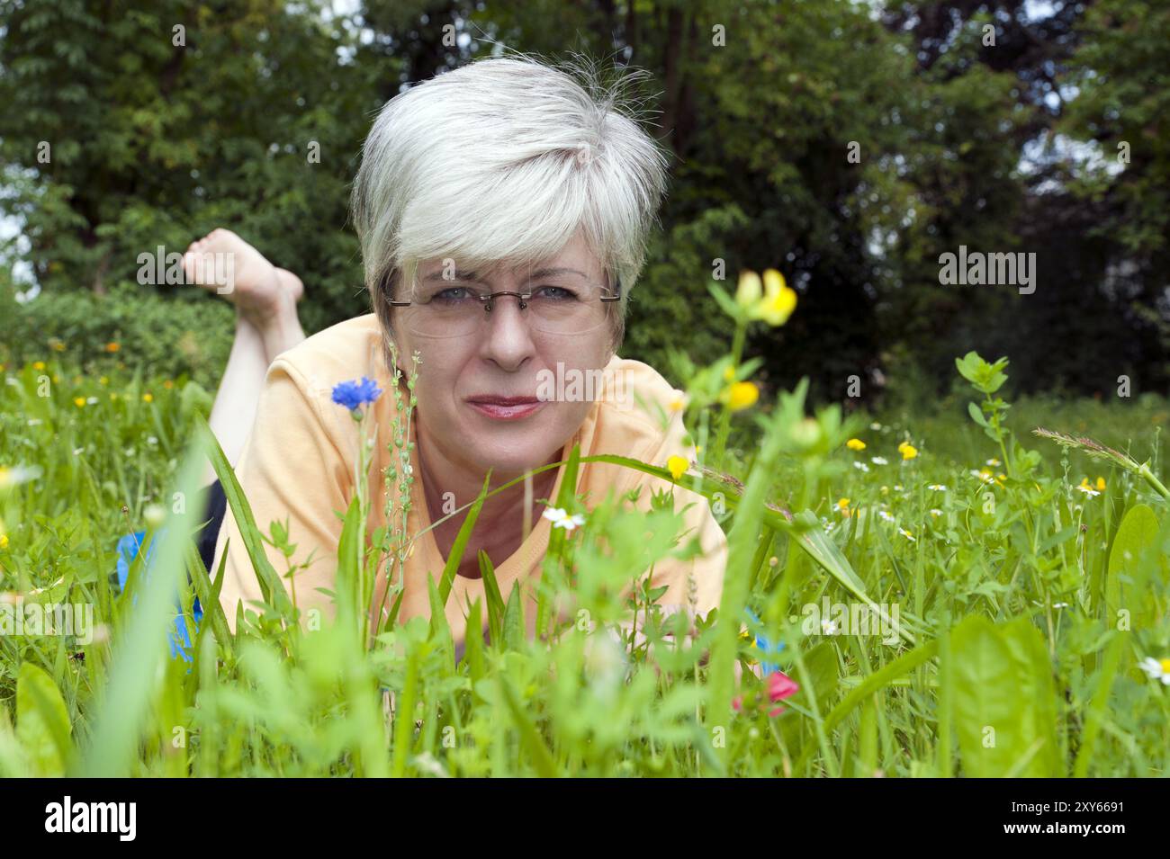 Document viewer hi-res stock photography and images - Alamy