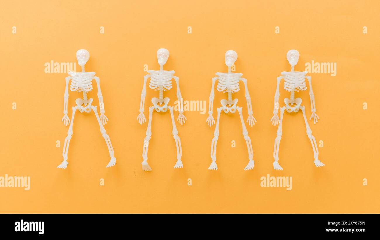Ornamented skeleton hi-res stock photography and images - Alamy