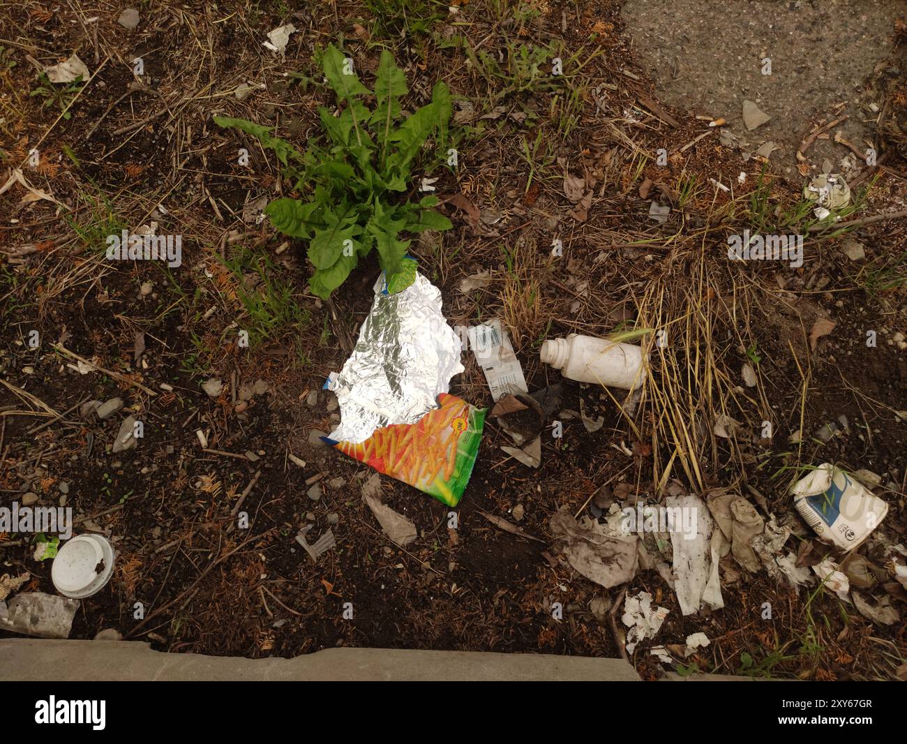 Plastic and cardboard garbage polluting the environment Stock Photo - Alamy
