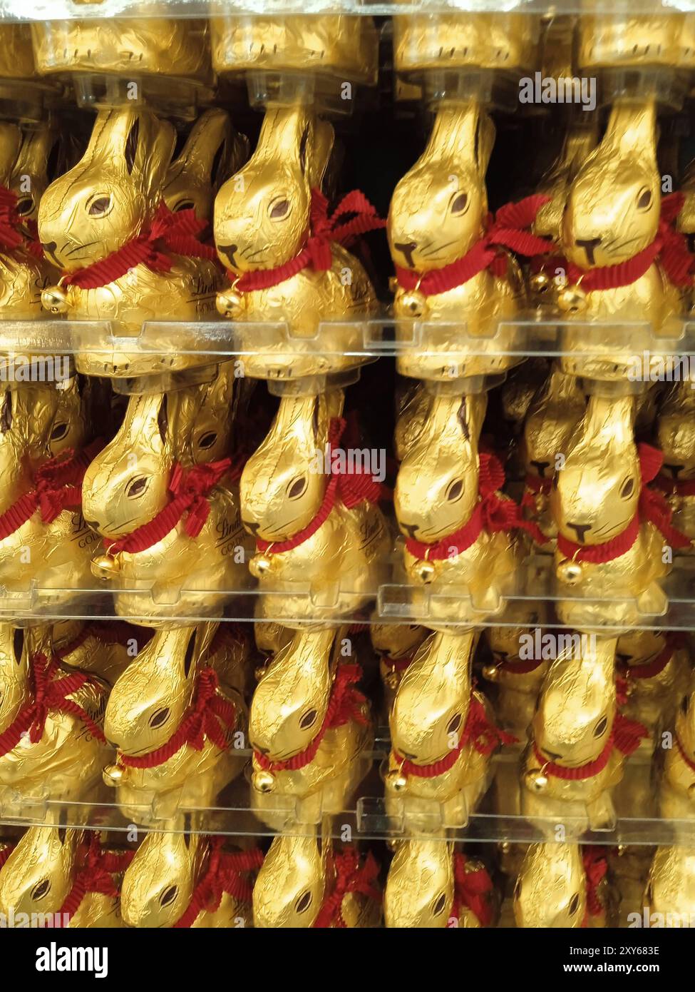 a rabbit or a hare in livestock farming and breeding rabbit or hare in ...