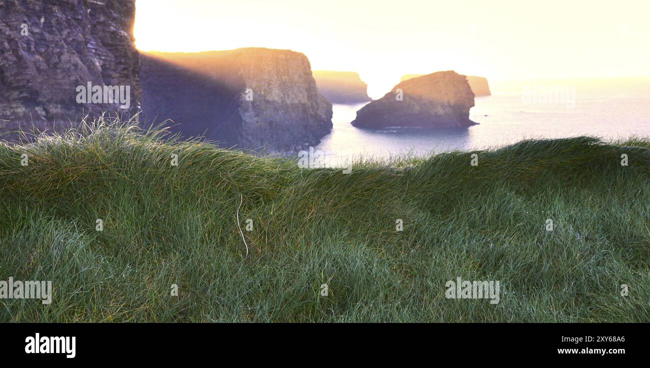 The Kilkee Cliff walk is a scenic 2 to 3 hour (8km) moderate loop walk ...