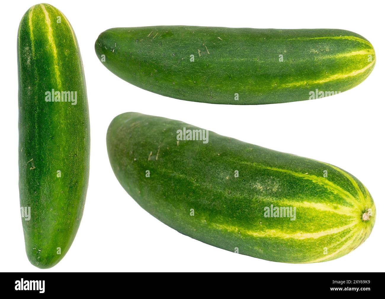 Courgettes isolated on transparent background Stock Photo - Alamy