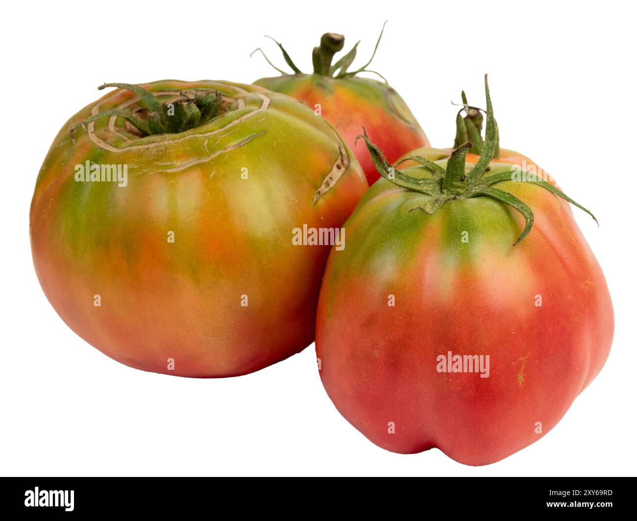 Orchard tomatoes hi-res stock photography and images - Alamy