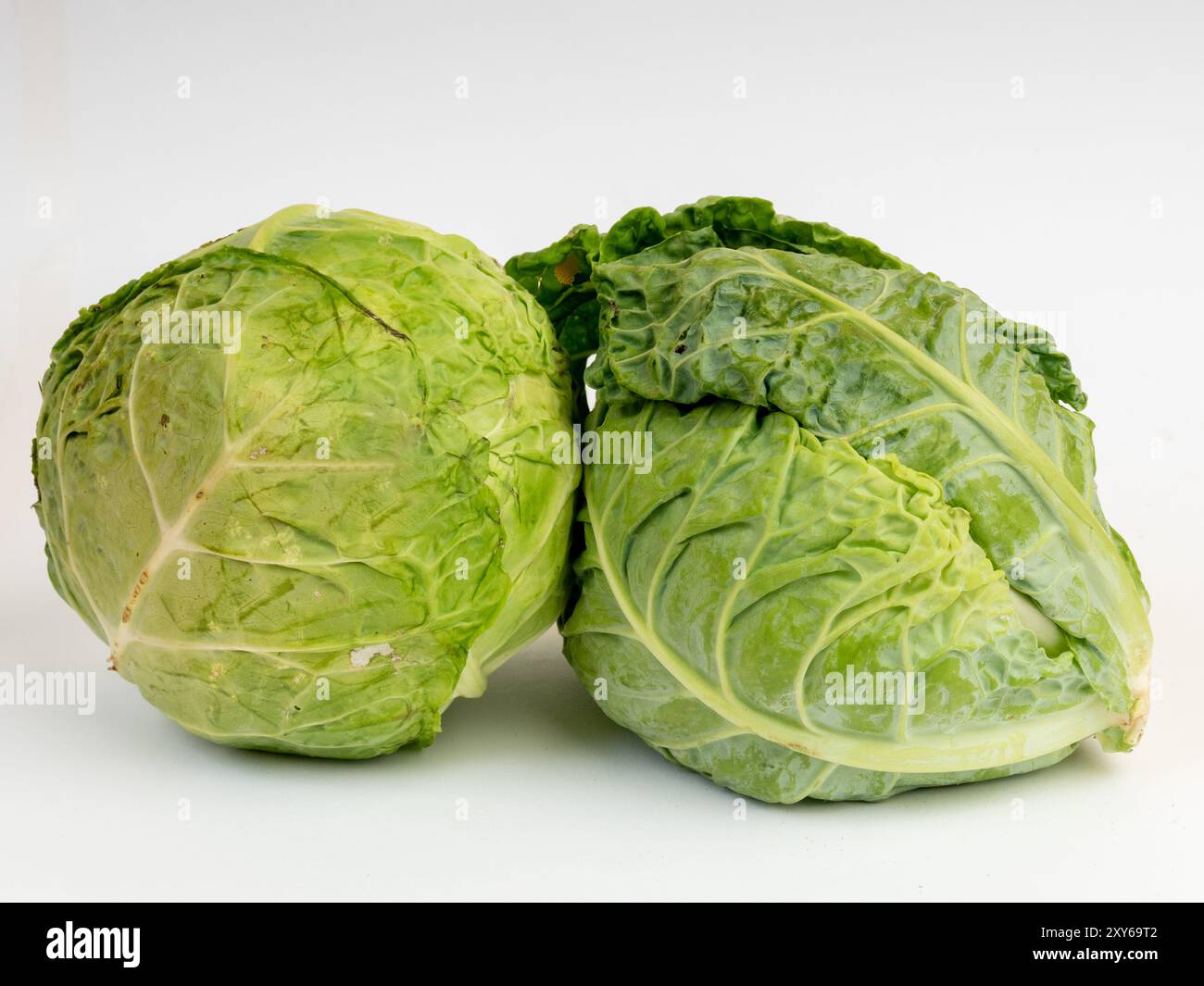 Two cabbages isolated on transparent background Stock Photo - Alamy