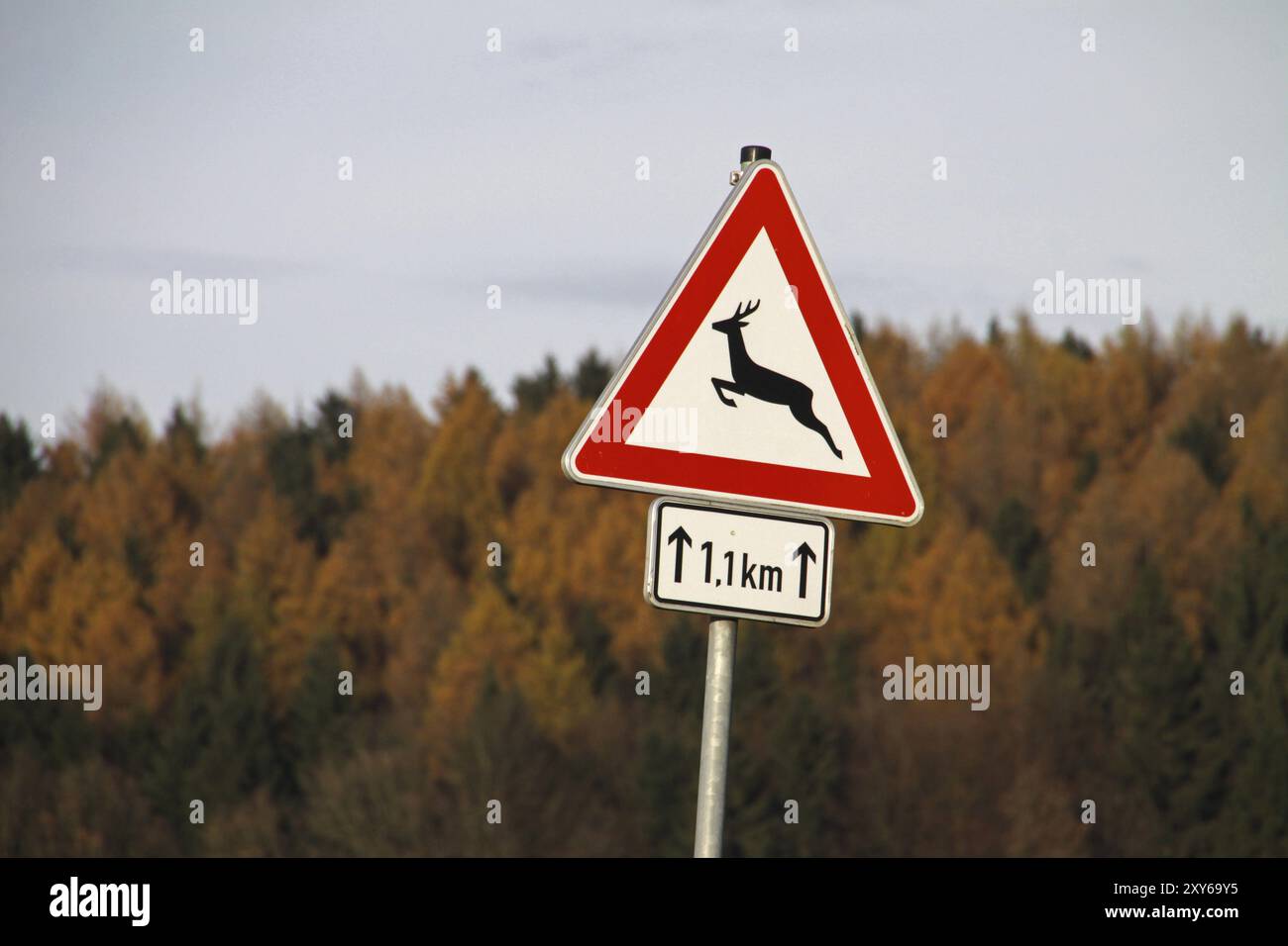 Wildlife crossing sign Stock Photo - Alamy