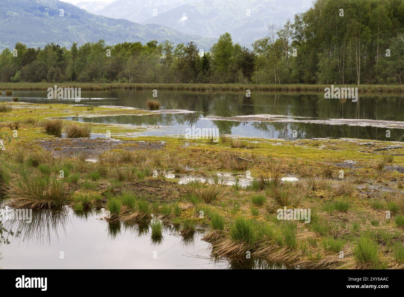 Bog in nicklheim hi-res stock photography and images - Alamy