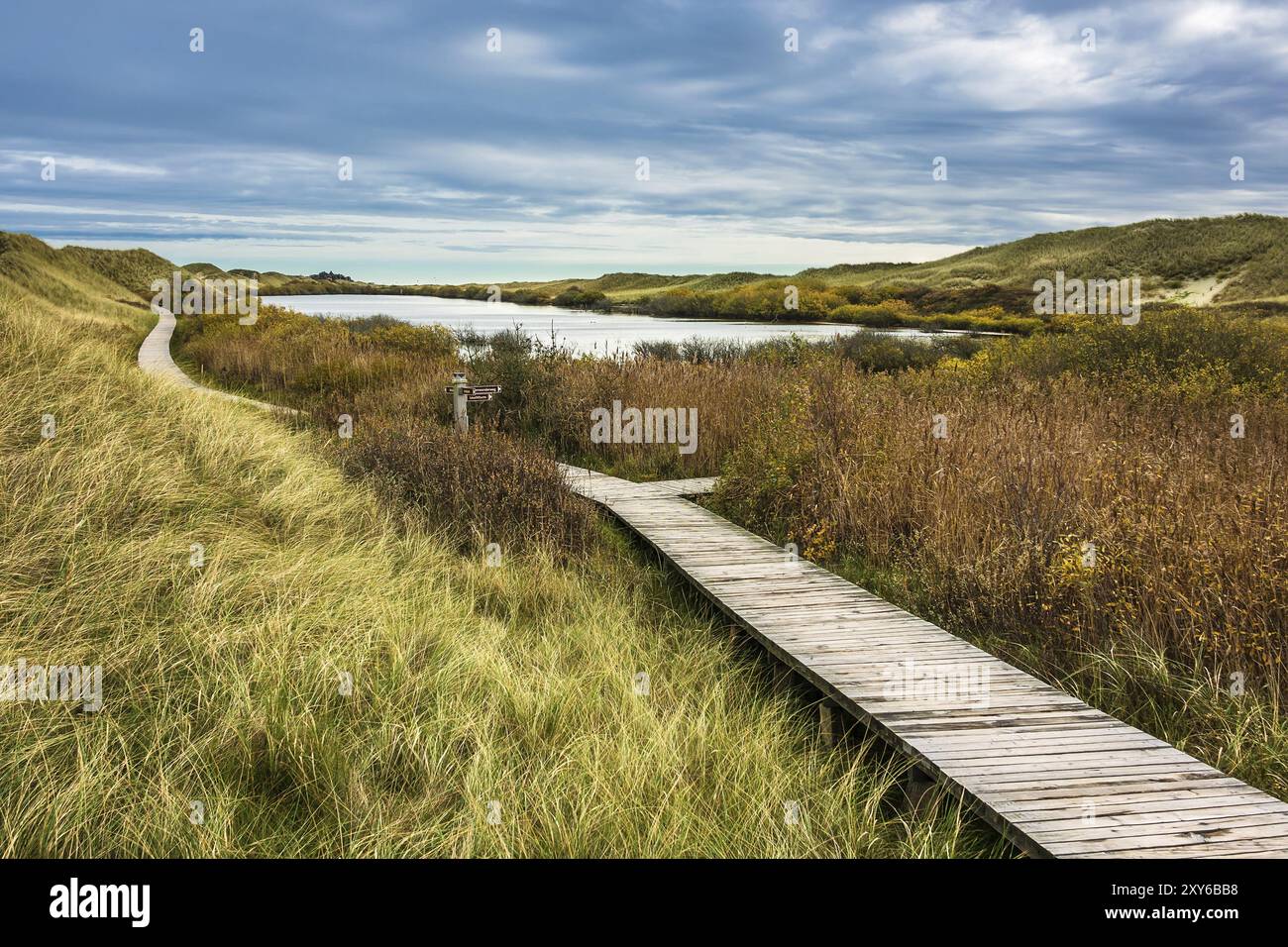 Dune path on the island of amrum hi-res stock photography and images ...