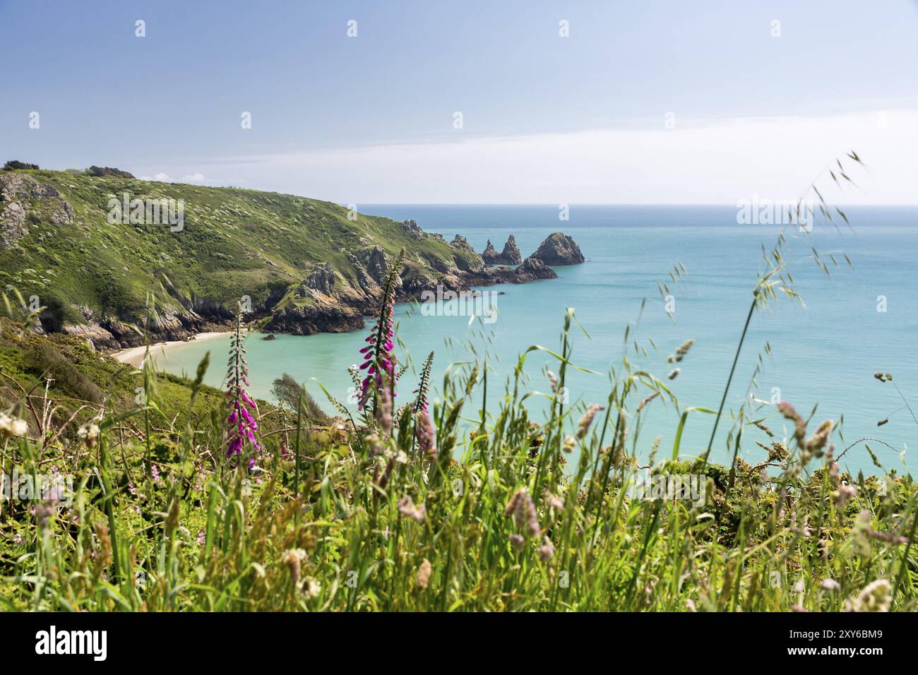 South coast of the Channel Island of Guernsey in spring Stock Photo - Alamy