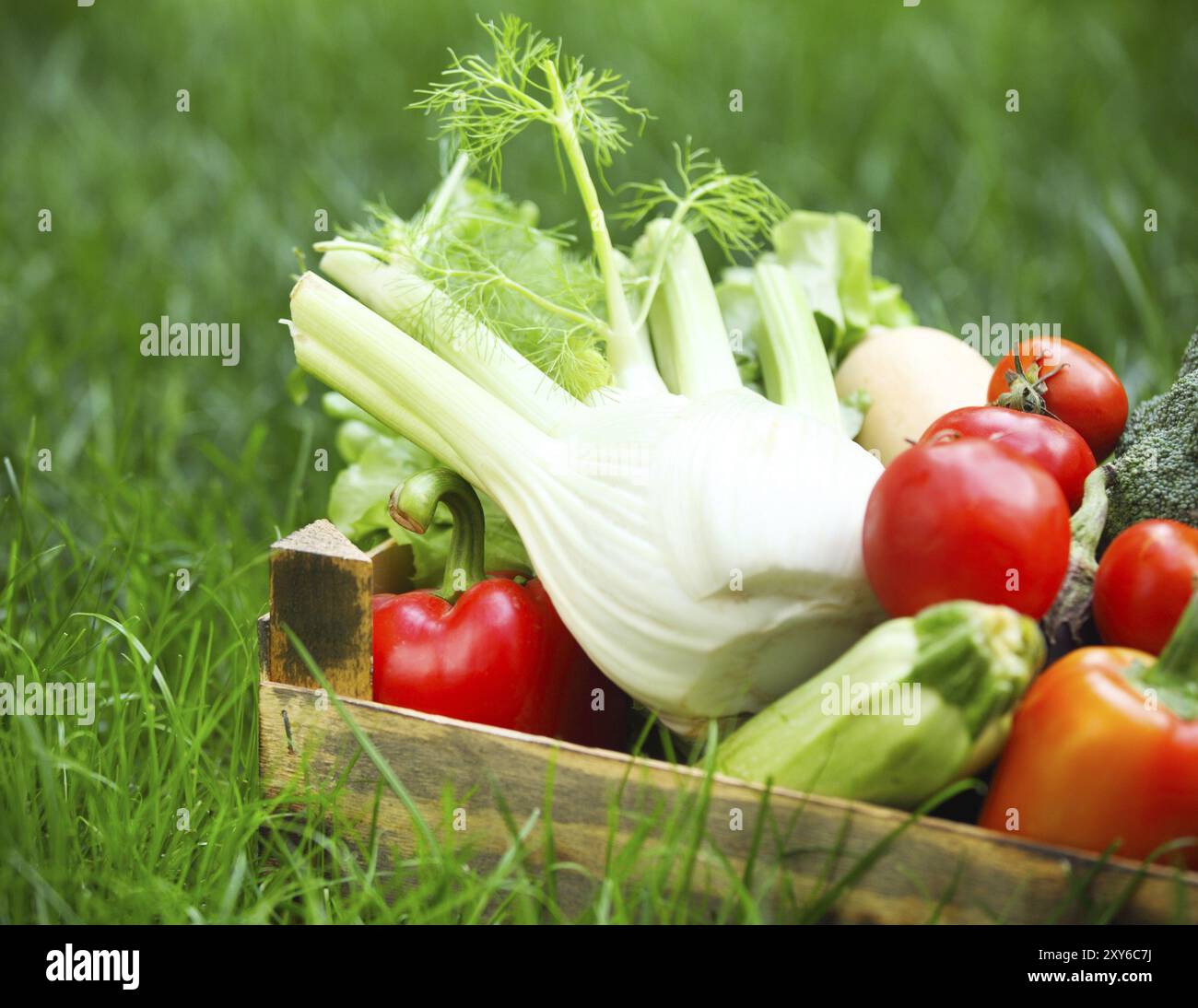 Fresh vegetables in the box on the green grass Stock Photo - Alamy